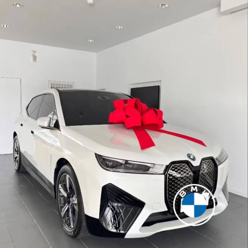 BMW業務-桃園平鎮 湯宏閔 [推薦好評第一]